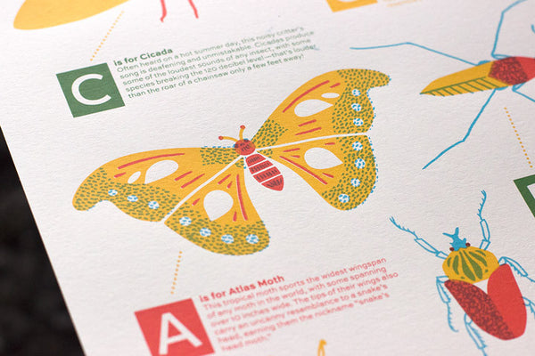 Bugs Alphabet – 55 Hi's