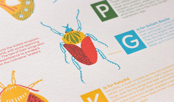 Bugs Alphabet – 55 Hi's